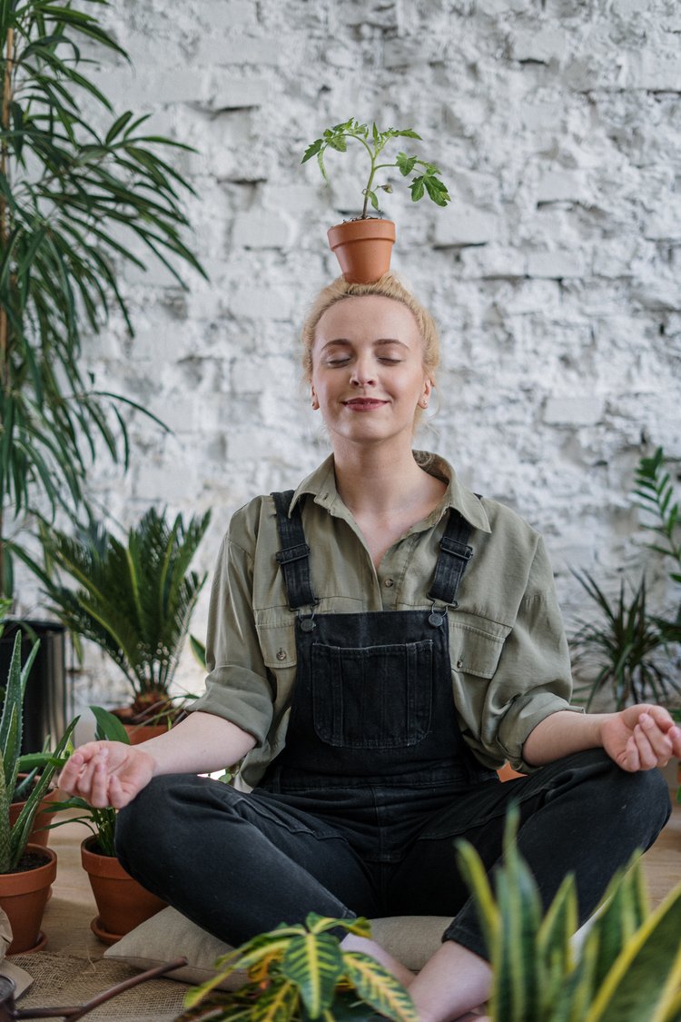 Getting into alignment with our desires